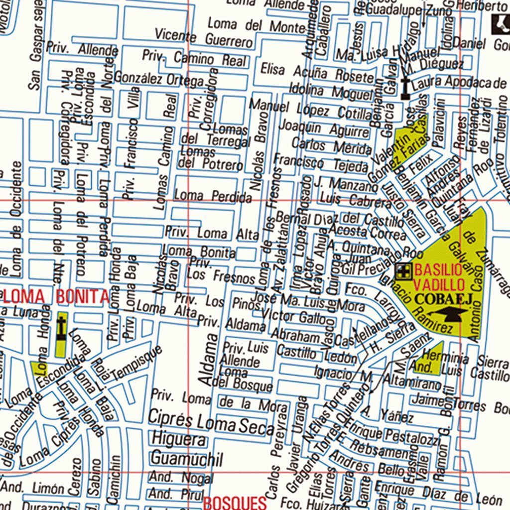 Tonalá / Calles / Municipio Map by Guia Roji | Avenza Maps