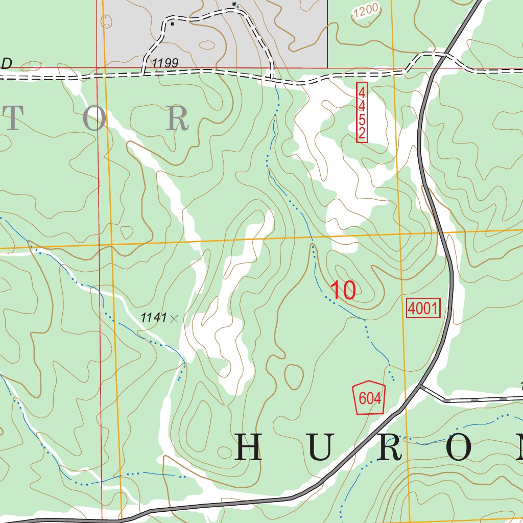 Goodar, MI FSTopo Legacy Map by US Forest Service - Topo | Avenza Maps
