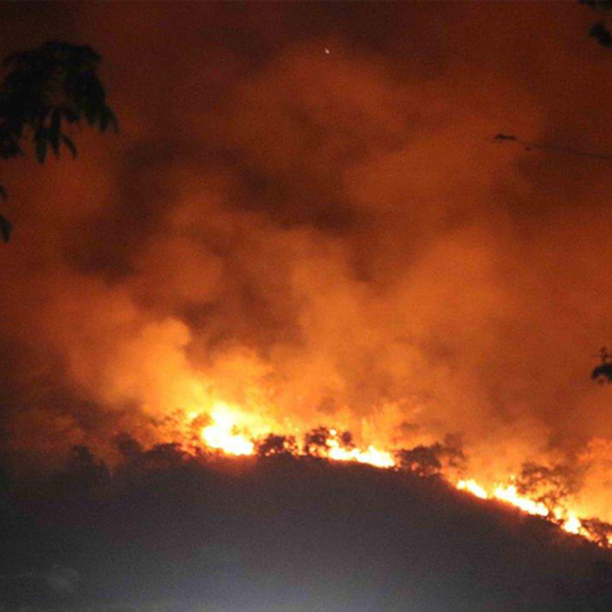 Odisha Forest Department to Use Avenza Maps to Fight Against Wildfires ...