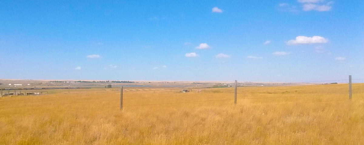 Maps of the Division No. 3 of Census Division, Saskatchewan | Avenza Maps