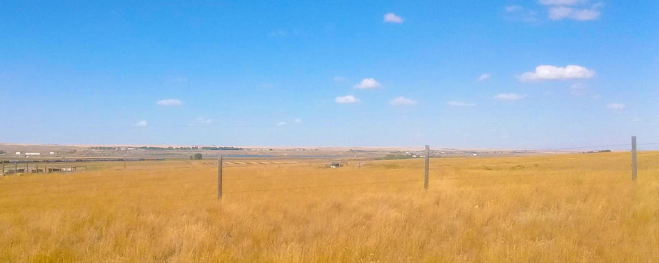 Maps of the Division No. 3 of Census Division, Saskatchewan | Avenza Maps