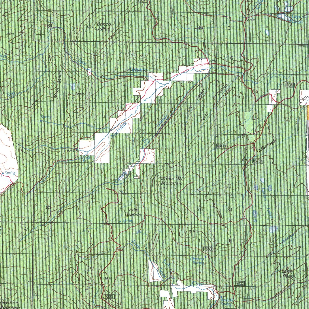Chama, NM - BLM Minerals Mgmt. Map by Digital Data Services, Inc ...