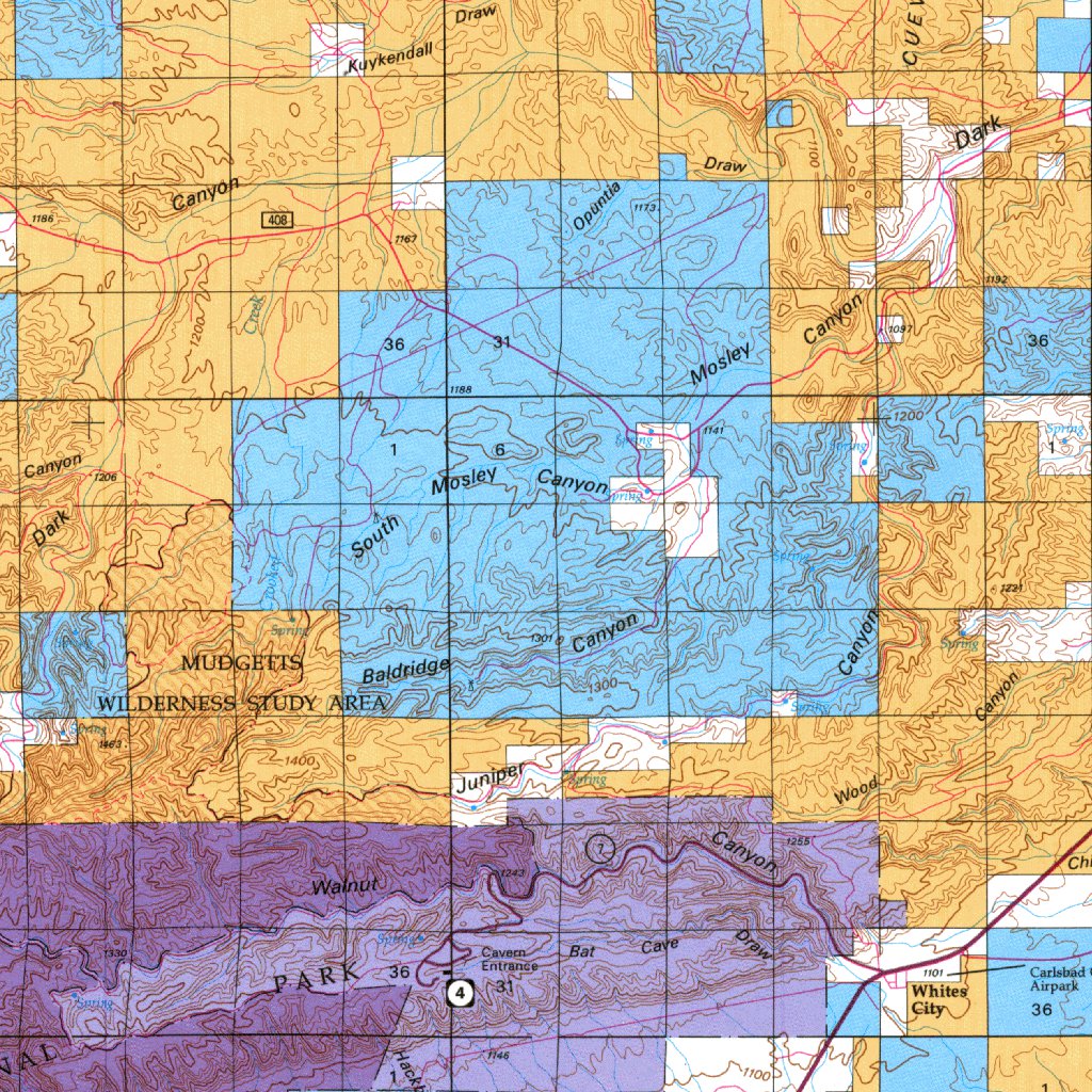 Carlsbad, NM - BLM Surface Mgmt. Map by Digital Data Services, Inc ...