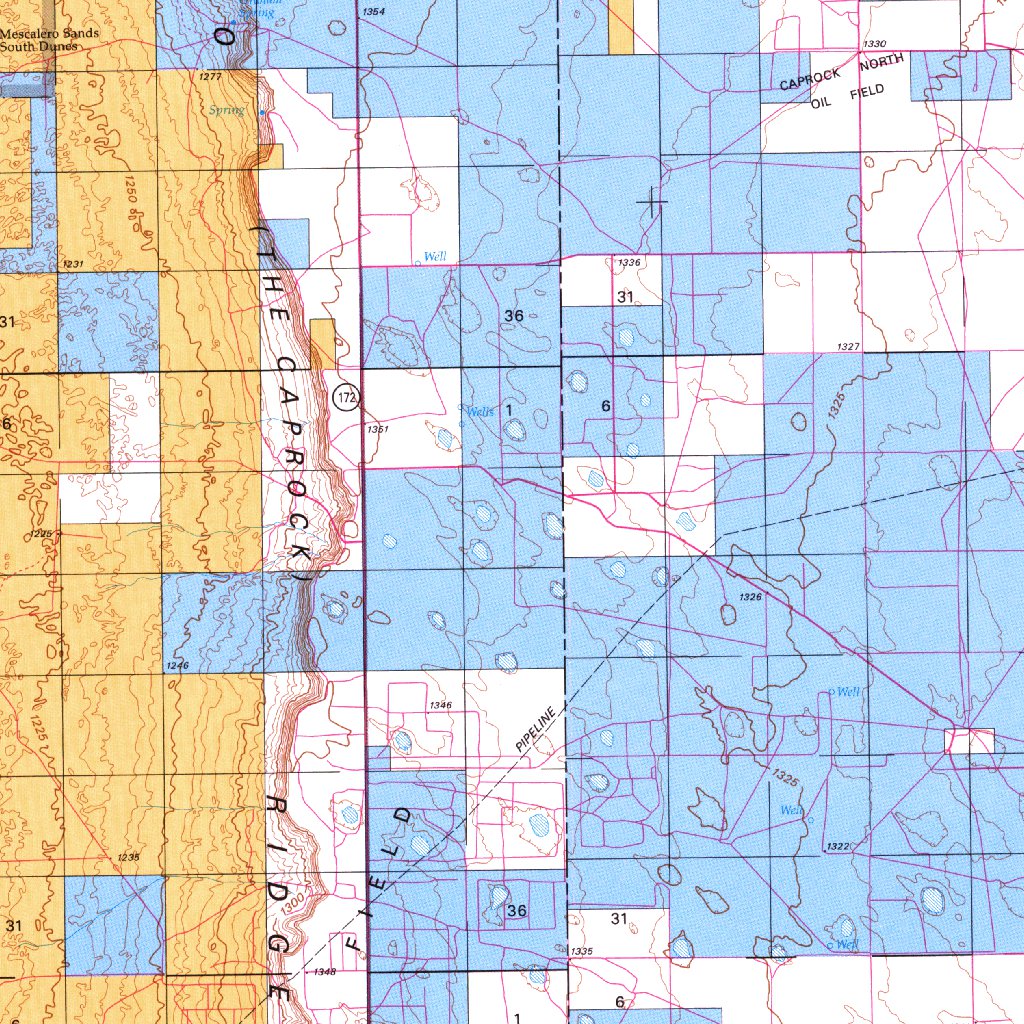 Tatum, NM - BLM Surface Mgmt. Map by Digital Data Services, Inc ...