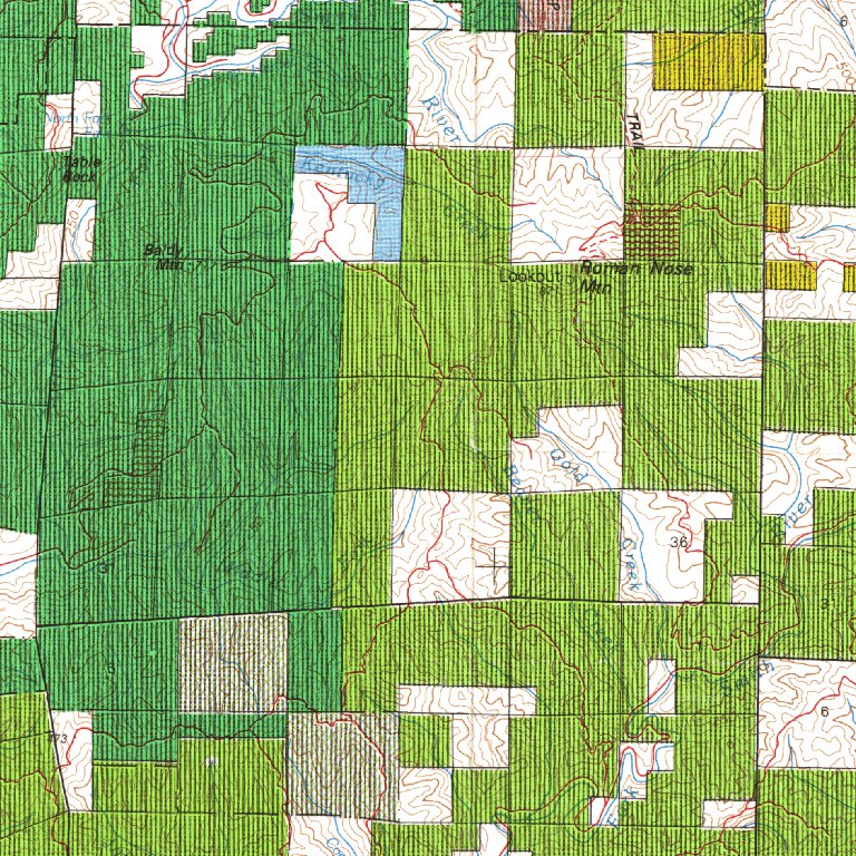 Cottage Grove, OR - BLM Surface Mgmt. Map by Digital Data Services, Inc ...