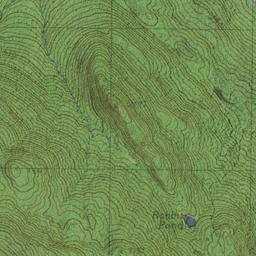 NY-Thirteenth Lake East: GeoChange 1982-2009 Map by Western Michigan ...