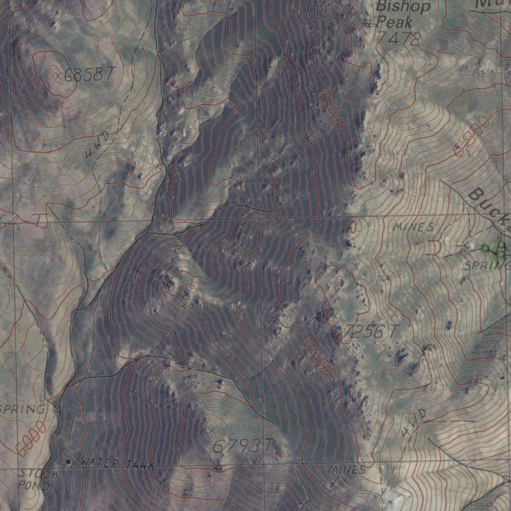 NV-BISHOP PEAK: GeoChange 1963-2010 Map by Western Michigan University ...