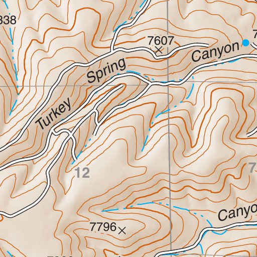 Lincoln National Forest Quadrangle: ELK-SILVER Map by US Forest Service ...