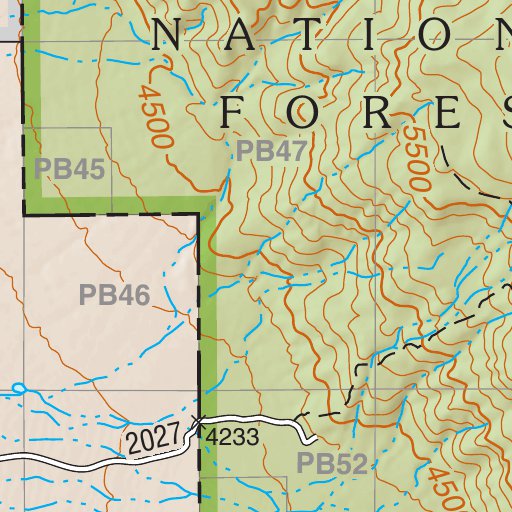 Lincoln National Forest Quadrangle: DEADMAN CANYON Map by US Forest ...