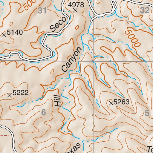 Lincoln National Forest Quadrangle: TEXAS HILL Map by US Forest Service ...