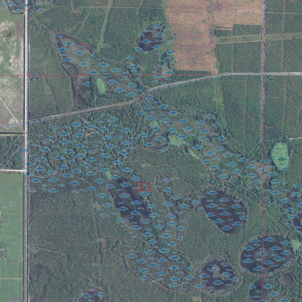 FL-TELEGRAPH SWAMP NE: GeoChange 1951-2010 Map by Western Michigan ...