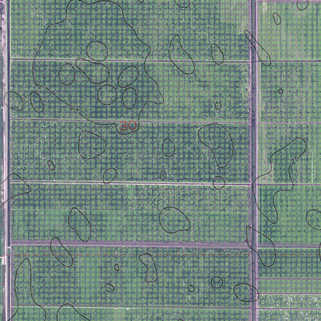 FL-EAST OF GUM SLOUGH: GeoChange 1951-2010 Map by Western Michigan ...
