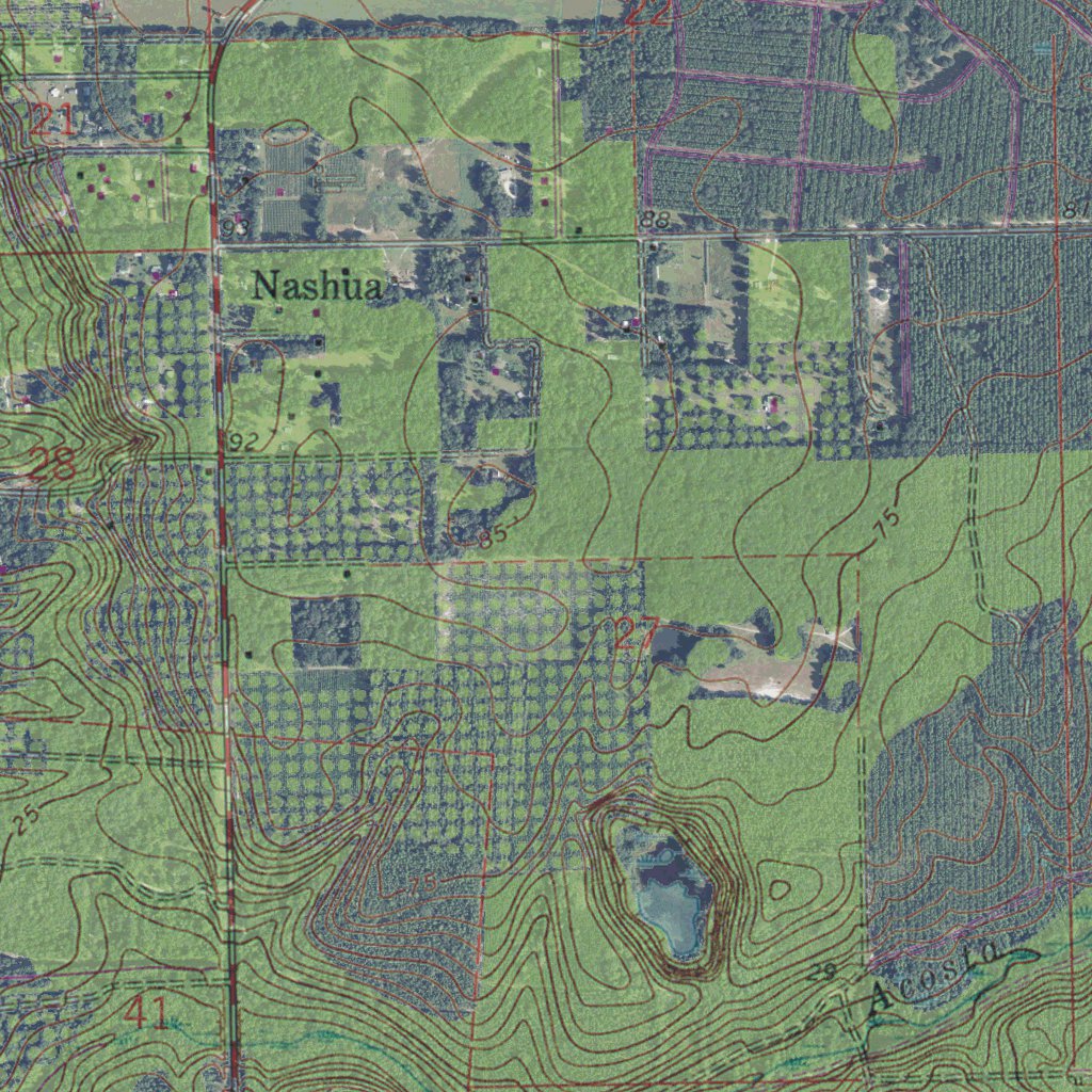 FL-SATSUMA: GeoChange 1967-2010 Map by Western Michigan University ...