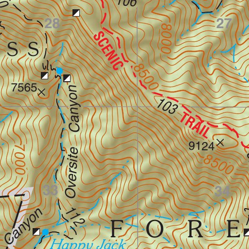 Coronado National Forest Quadrangle: MILLER PEAK Map by US Forest ...