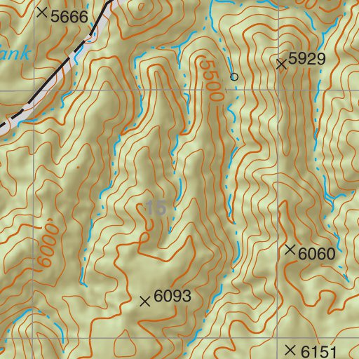 Coronado National Forest Quadrangle: SKELETON CANYON Map by US Forest ...