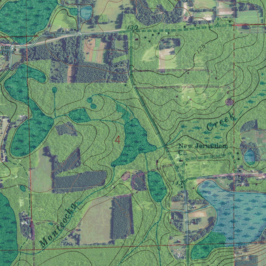 FL-MONTEOCHA: GeoChange 1964-2010 Map by Western Michigan University ...
