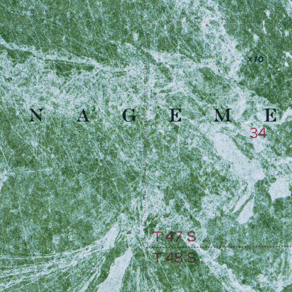 FL-DEEM CITY: ORTHOPHOTOMAP 1974 Map by Western Michigan University ...