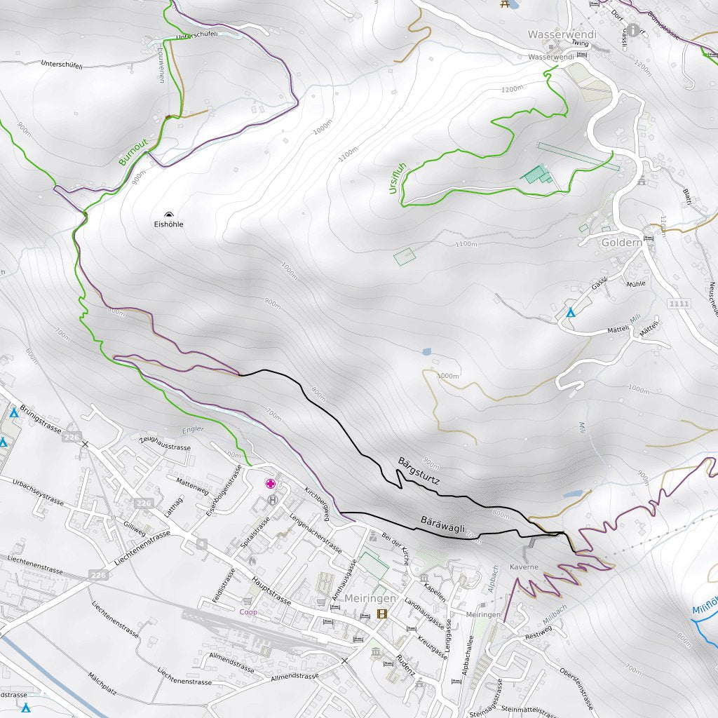 Meiringen Mountain Bike Trails Map by Trailforks | Avenza Maps