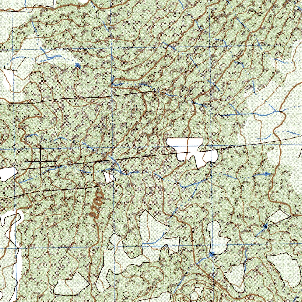 Cherán (E14A21) Map by Land Info Worldwide Mapping LLC | Avenza Maps