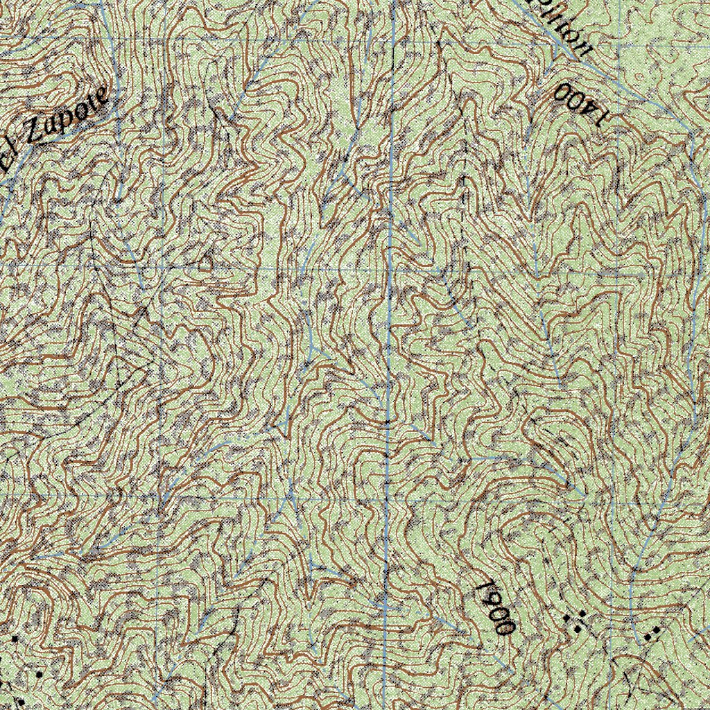 San Carlos Yautepec (E14D79) Map by Land Info Worldwide Mapping LLC ...