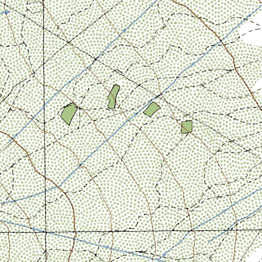 El Milagro De Guadalupe (F14A45) Map by Land Info Worldwide Mapping LLC ...