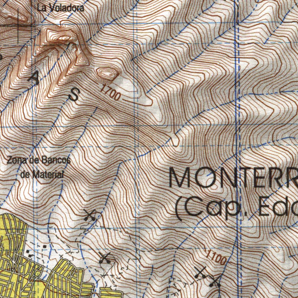 Garza García (G14C25) Map by Land Info Worldwide Mapping LLC | Avenza Maps