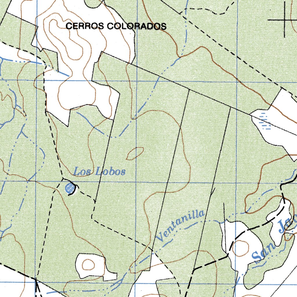 Ignacio López Rayón (G13D84) Map by Land Info Worldwide Mapping LLC ...