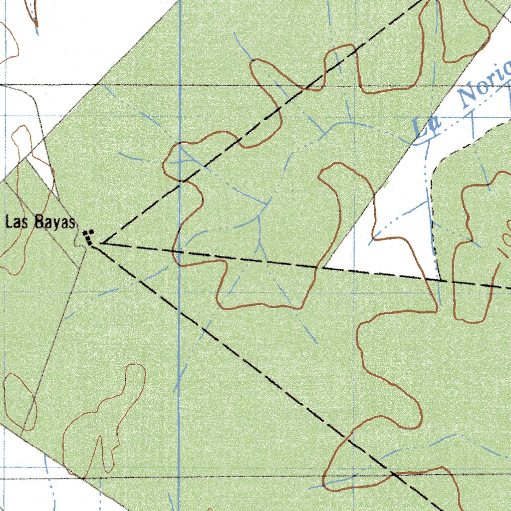 Congregación Garza (G14D12) Map by Land Info Worldwide Mapping LLC ...