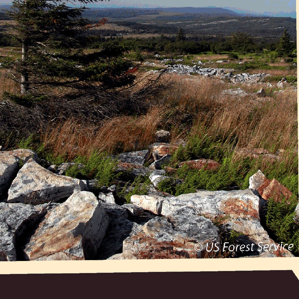 Monongahela NF Forest Visitor Map - North by US Forest Service R9 ...