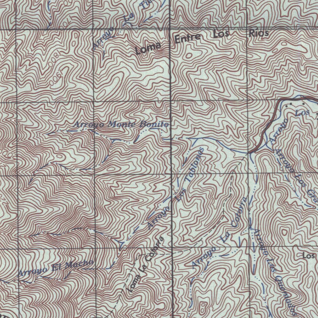 Domincan Republic 50K: 6073-3 Map by Land Info Worldwide Mapping LLC ...