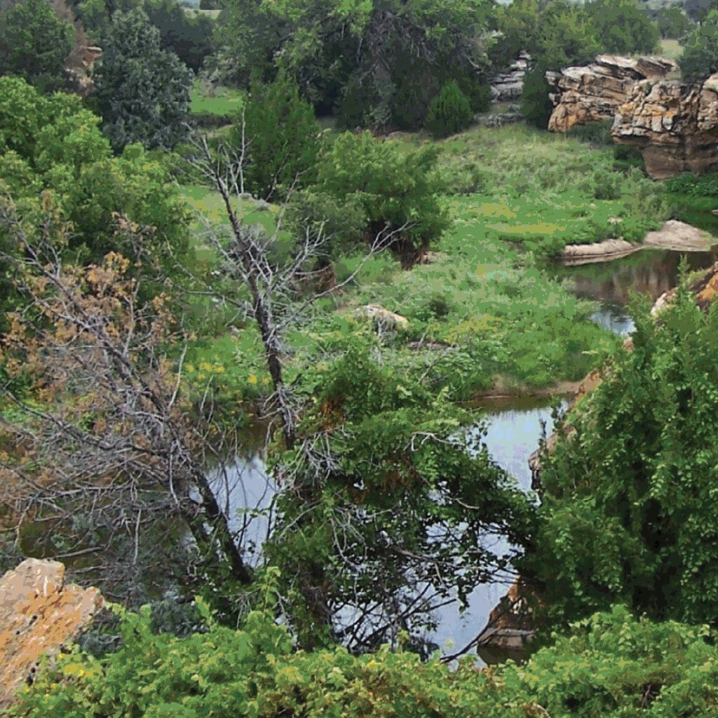 Comanche National Grassland Visitor Map (West Half) by US Forest ...