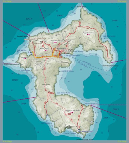 319 Isola di Giannutri Map by CARTAGO | Avenza Maps