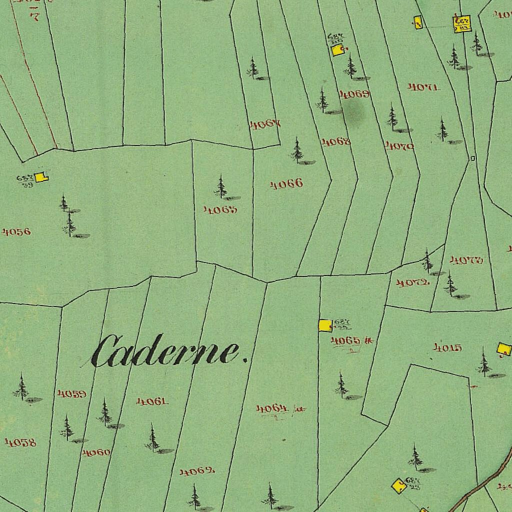 MEZZANO Mappa originale d'impianto del Catasto austro-ungarico. Scala 1 ...