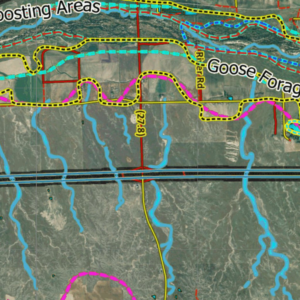 Colorado Unit 90 Walk-in Access, Pheasant, Goose, Turkey Concentrations ...