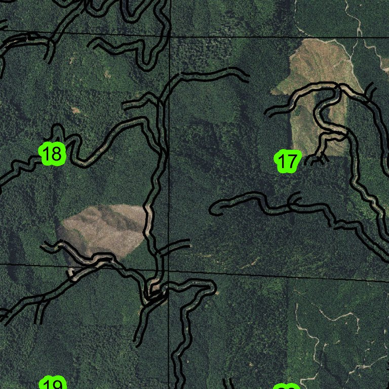 Myrtle Point T29S R12W Township Map by Super See Services | Avenza Maps
