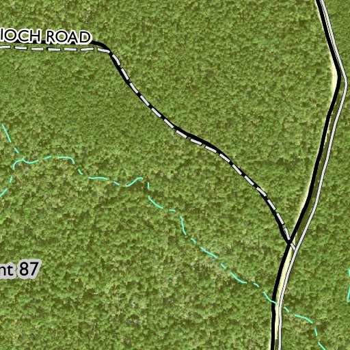 Individal Compartment Map of the Davy Crockett National Forest v111 by ...