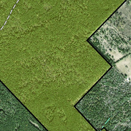 Individal Compartment Map of the Davy Crockett National Forest v113 by ...