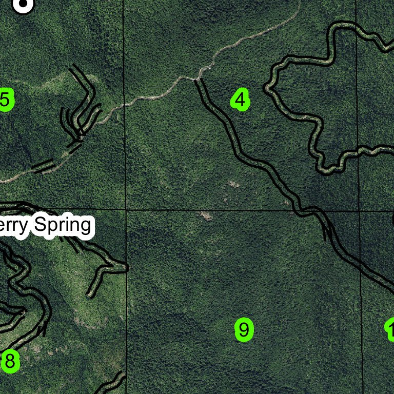 Huckleberry Mountain T24S R1W Township Map by Super See Services ...