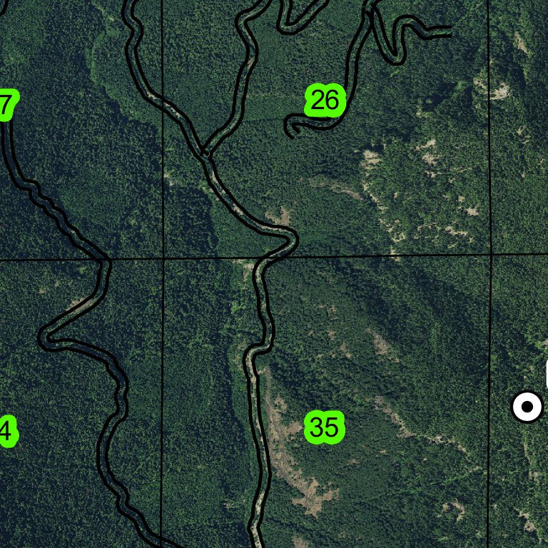 Calapooya Mountains T24S R3E Township Map by Super See Services ...