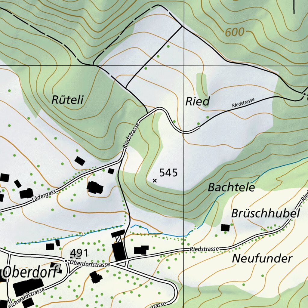 Reiden, 1:10,000 Map by SwissTopo | Avenza Maps