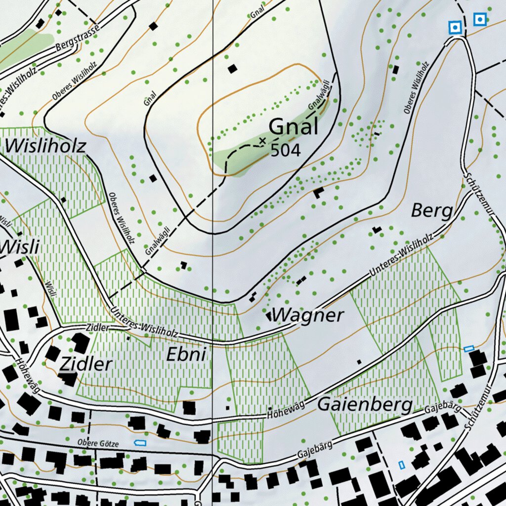 Rafz, 1:10,000 Map by SwissTopo | Avenza Maps