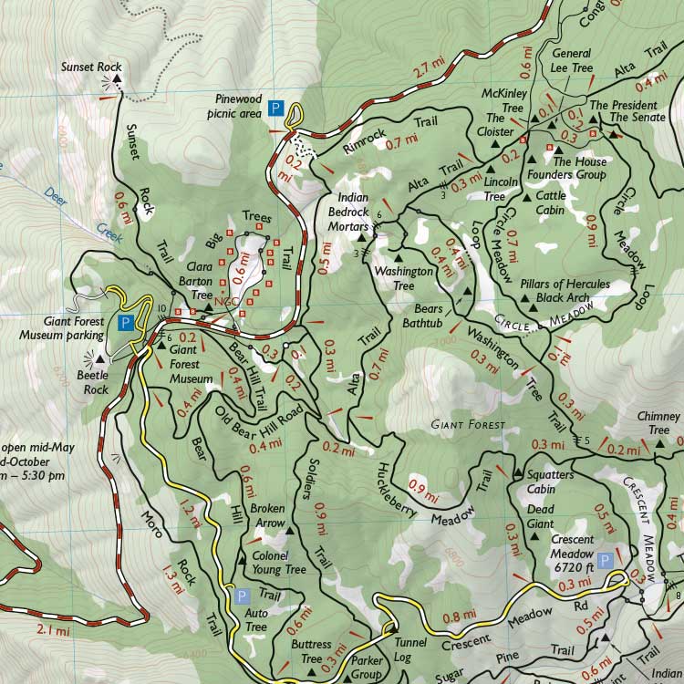 Giant Forest (Sequoia National Park) Map by Redwood Hikes Press ...