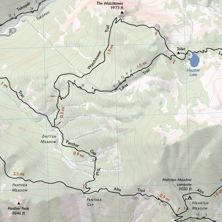 Giant Forest (Sequoia National Park) Map by Redwood Hikes Press ...