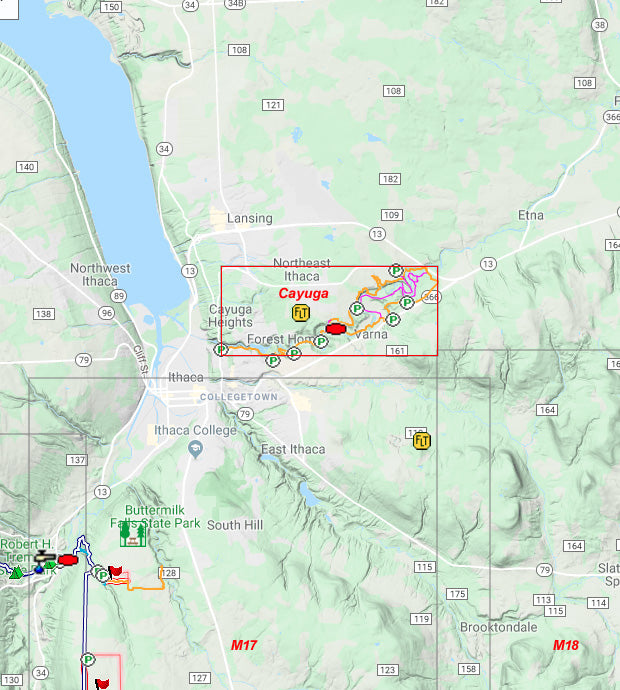 Cayuga Trail - Cornell University Map by Finger Lakes Trail Conference ...