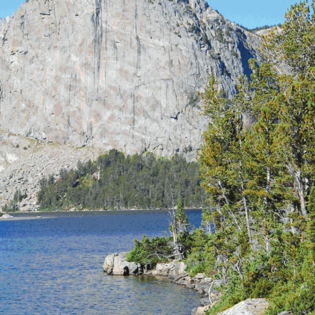 Shoshone National Forest Visitor Map (South Half) - Wind River ...