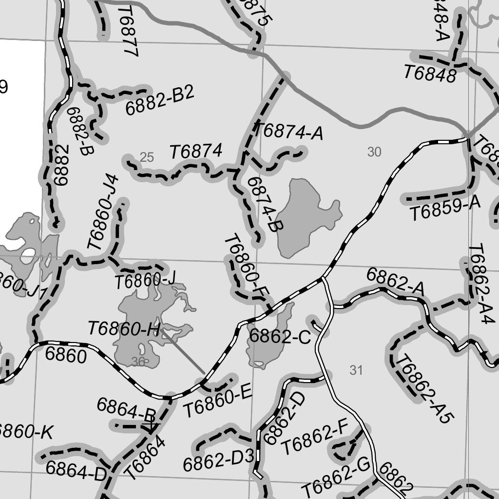 Ottawa NF West Back MVUM Map by US Forest Service R9 | Avenza Maps
