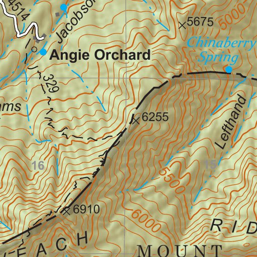 Coronado National Forest Quadrangle: MOUNT GRAHAM Map by US Forest ...