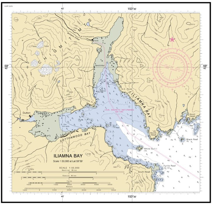 Iliamna Bay Map by National Oceanographic & Atmospheric Administration ...