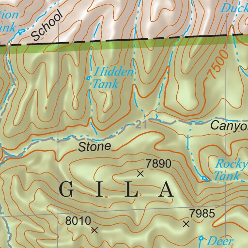 Gila National Forest Quadrangle Map: pg 40 Paddys Hole by US Forest ...
