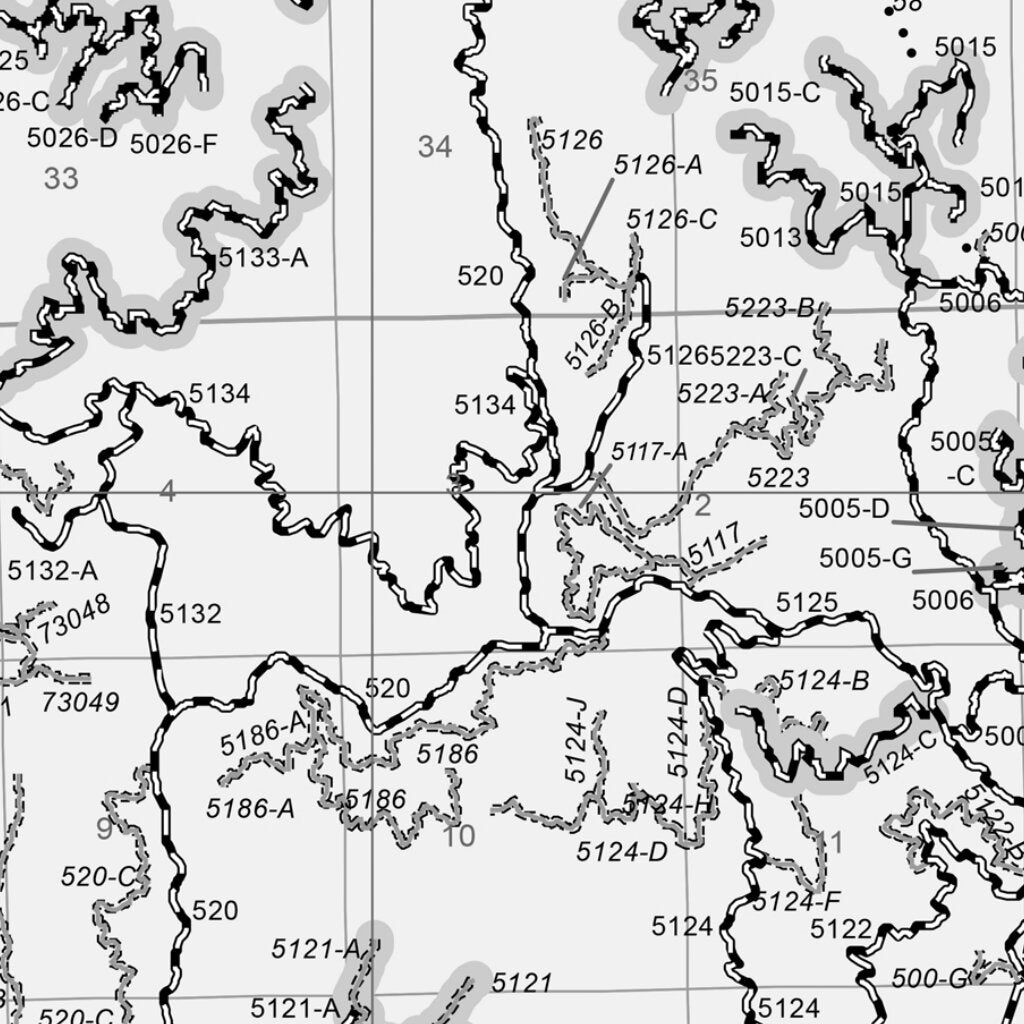 Nez Perce-Clearwater NF - Lolo Creek Syringa MVUM 2020 Map by US Forest ...